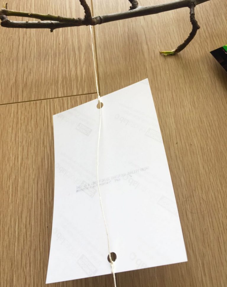 2 DIY Disposable Camera Projects You Need to Try - London Drugs Blog