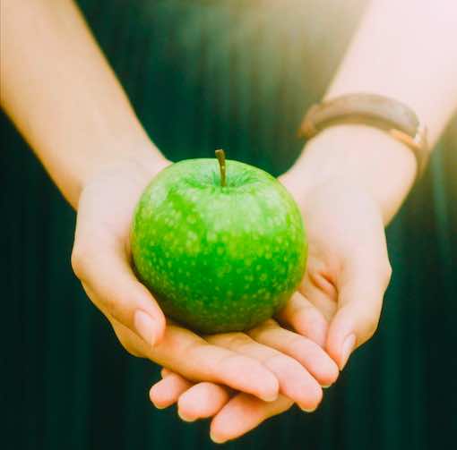 Greener (and Affordable) Alternatives for Your Home - London Drugs Blog