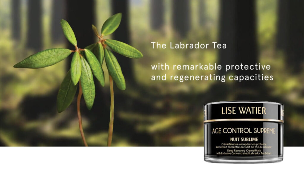 Proudly Canadian Brand Stories – Lise Watier - London Drugs Blog